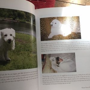 Hardback book | Other | A Rare Breed Of Love True Story Of Baby | Poshmark